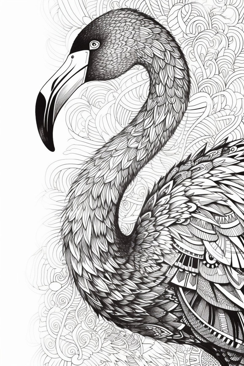 Bird Coloring Pages: Beautiful Birds Adult Coloring Book | 20 Digital ...