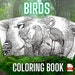 Bird Coloring Pages: Beautiful Birds Adult Coloring Book | 20 Digital ...