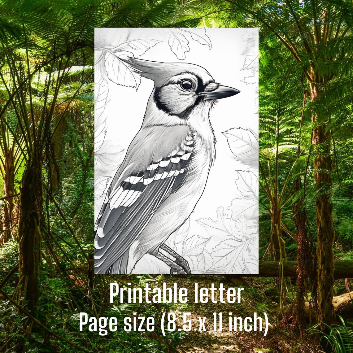 Bird Coloring Pages: Beautiful Birds Adult Coloring Book | 20 Digital ...