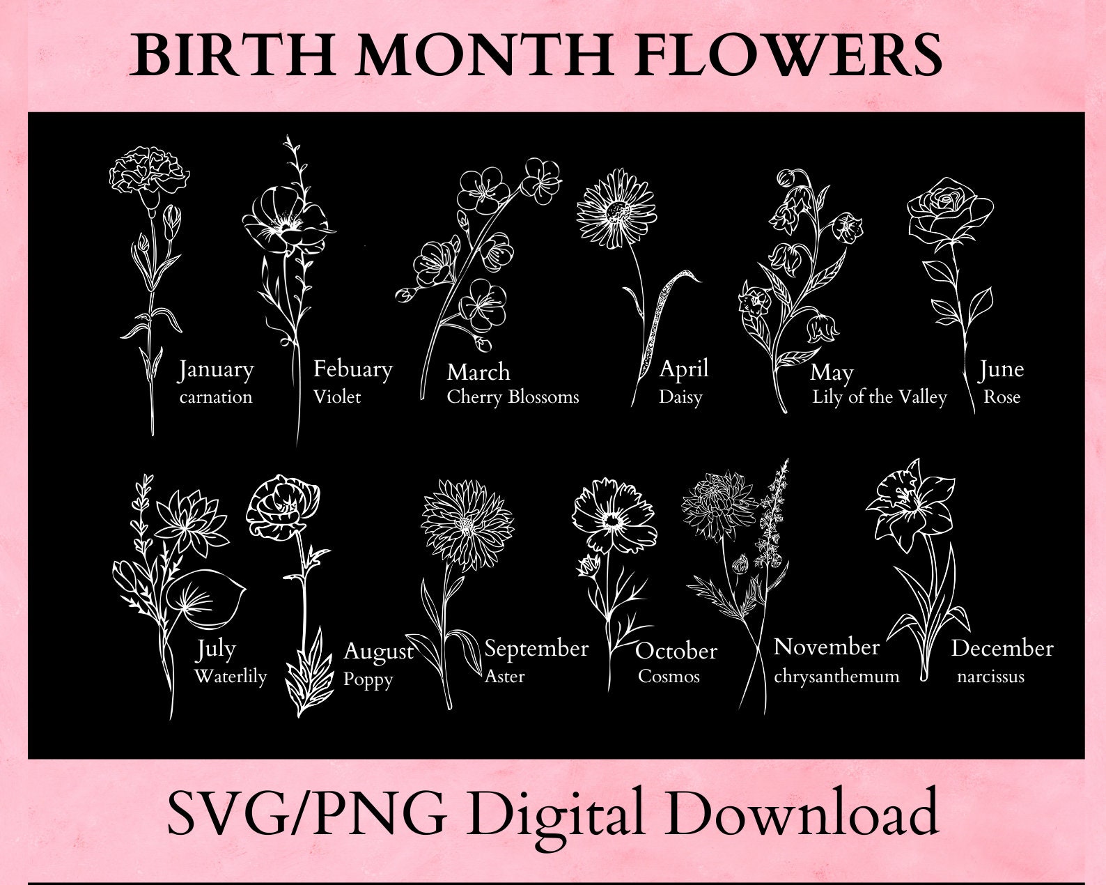 Birth Month Flowers SVG / PNG | Birthday Flowers, Botanical Svg, Floral ...