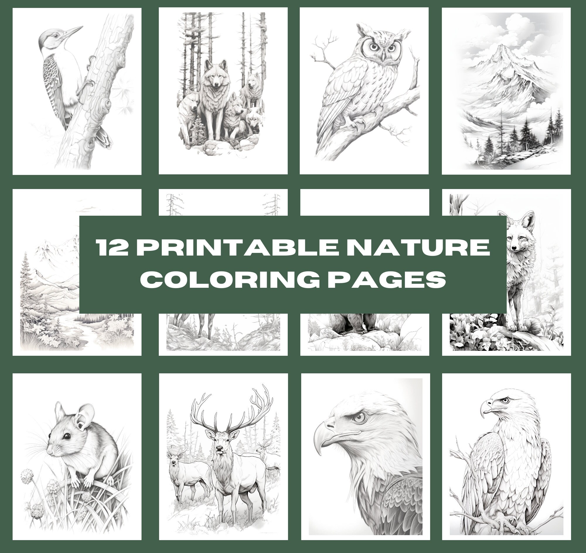 12 Printable Nature Coloring Pages for Kids & Adults, Wildlife Coloring ...