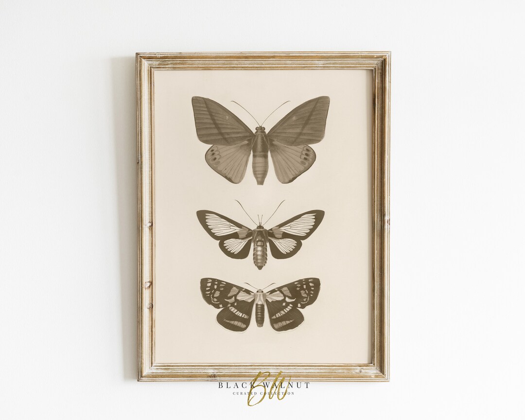 Vintage Butterfly Sketch Art Print, Vintage Country Butterfly Print ...