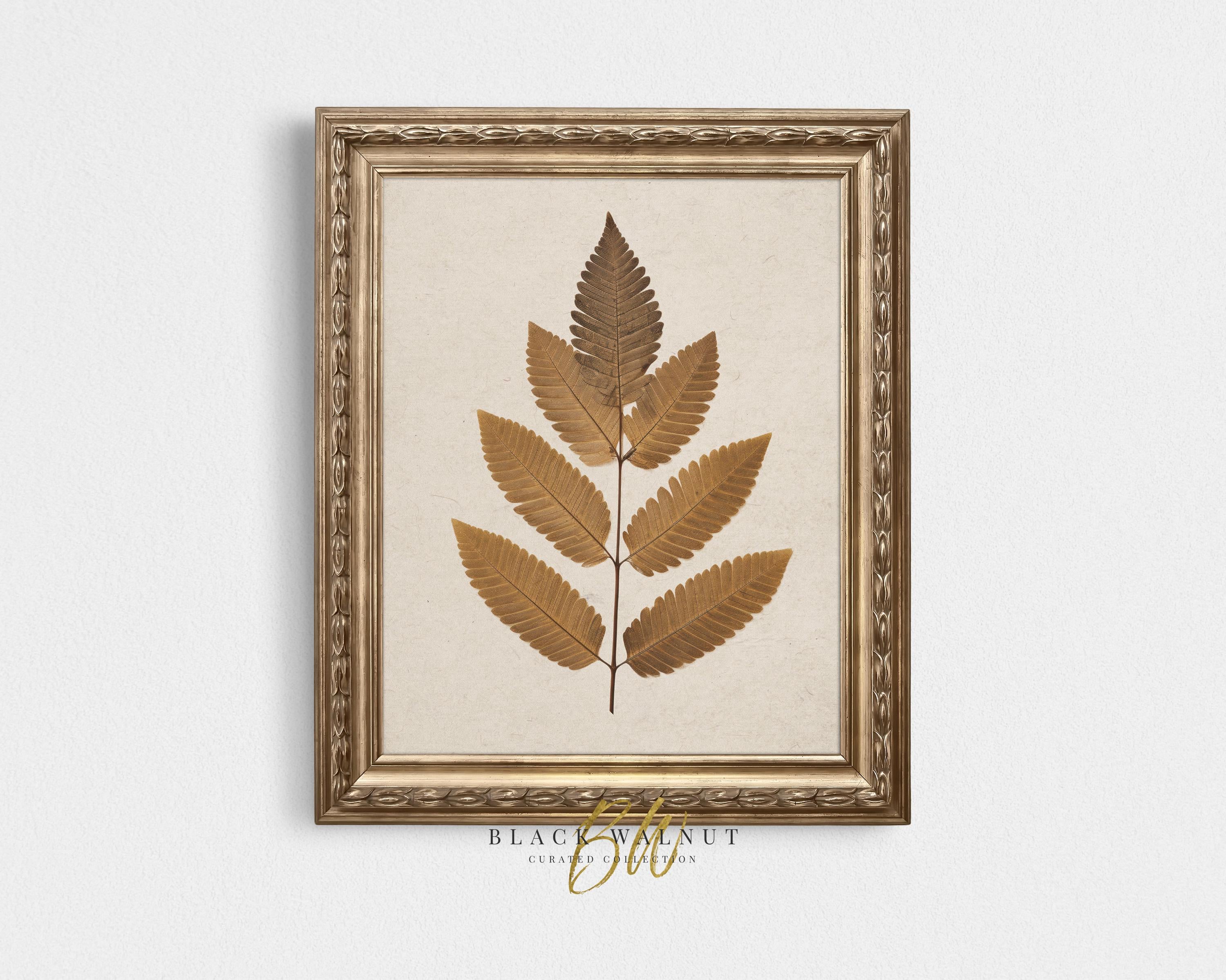 Vintage Fall Leaf Print Set, Autumn Botanical Wall Art Set, Printable ...