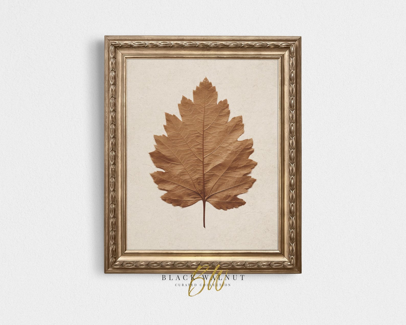Vintage Fall Leaf Print Set, Autumn Botanical Wall Art Set, Printable ...