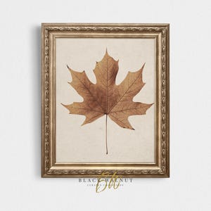 Vintage Fall Leaf Print Set, Autumn Botanical Wall Art Set, Printable ...