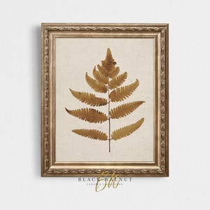 Vintage Fall Leaf Print Set, Autumn Botanical Wall Art Set, Printable ...