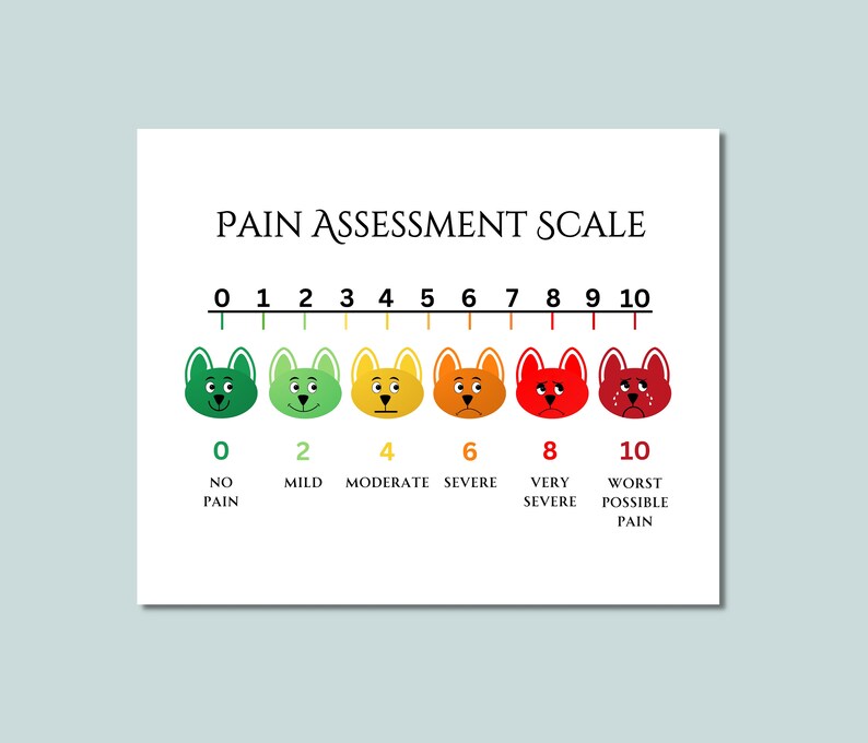 Cute Pediatric Pain Scale Poster for Kids, Pain Chart, Playroom Puppy ...