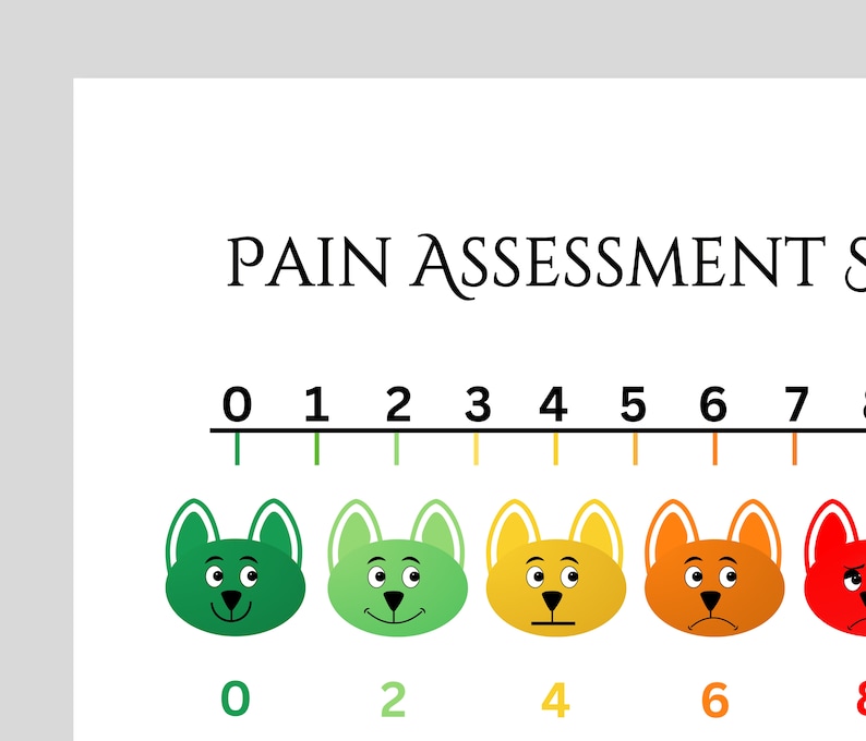 Cute Pediatric Pain Scale Poster for Kids, Pain Chart, Playroom Puppy ...
