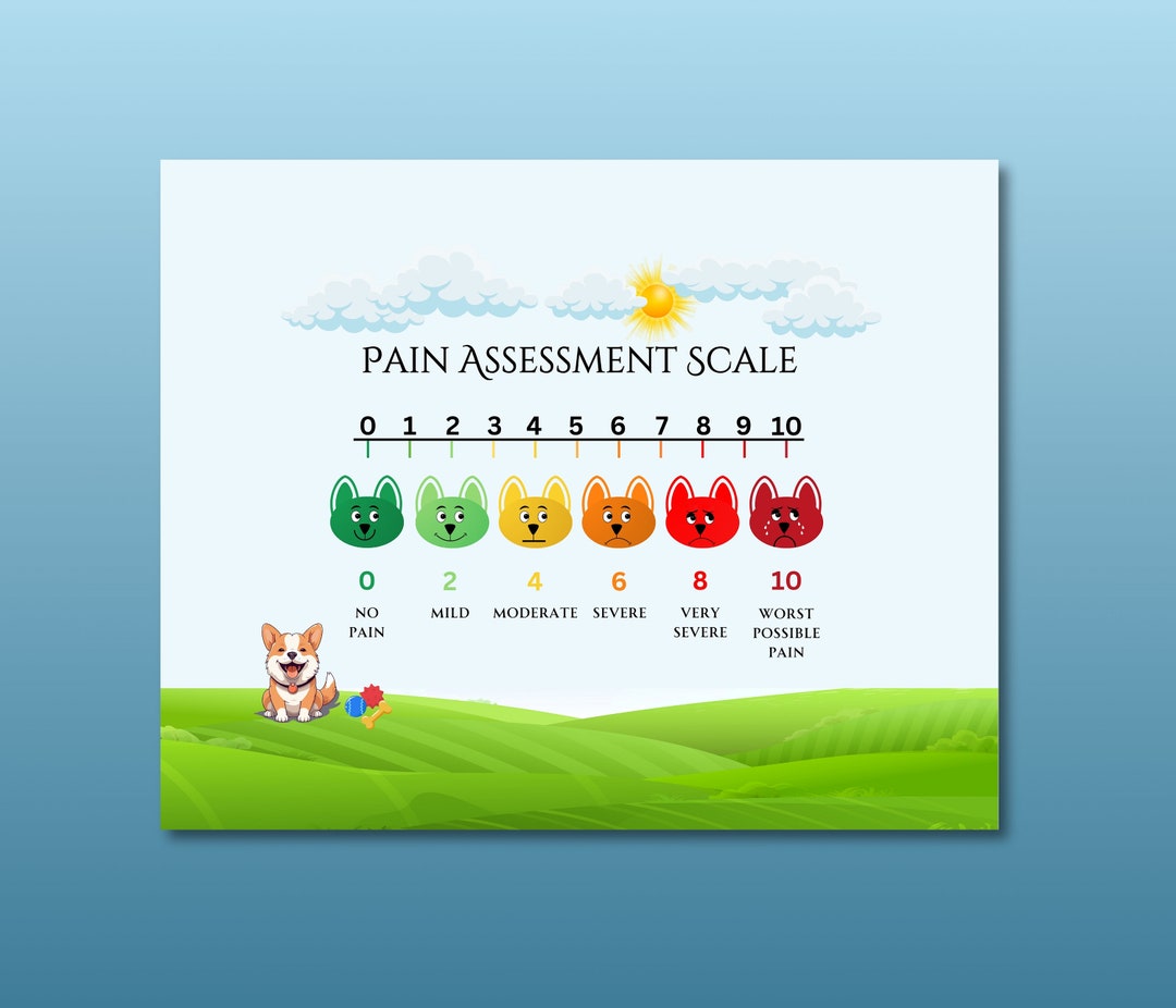 Pediatric Pain Scale Poster Puppy Meadow, Childrens Pain Chart ...
