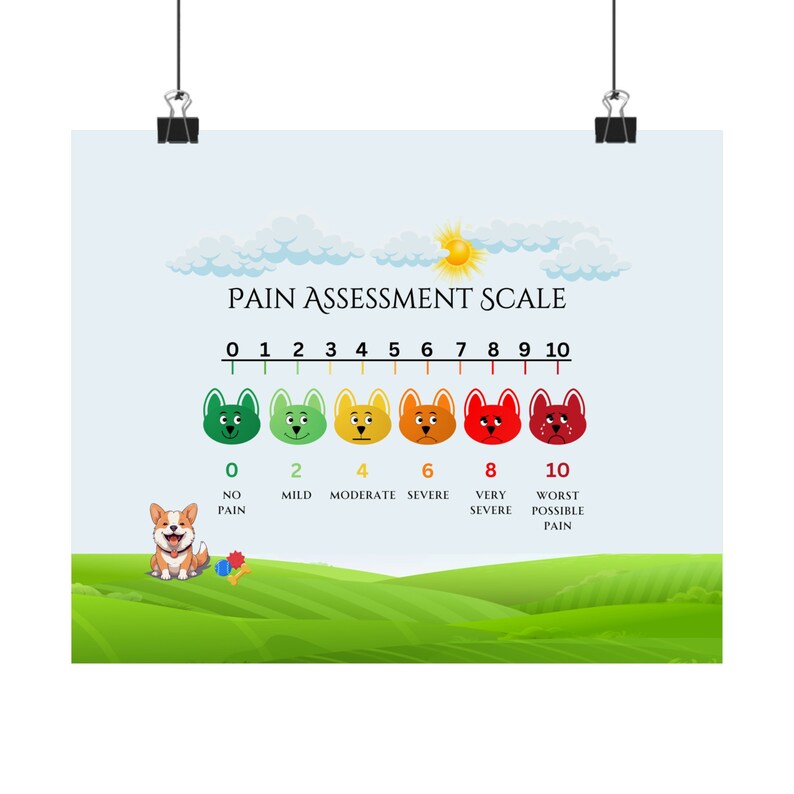 Pediatric Pain Scale Poster Puppy Meadow, Childrens Pain Chart ...