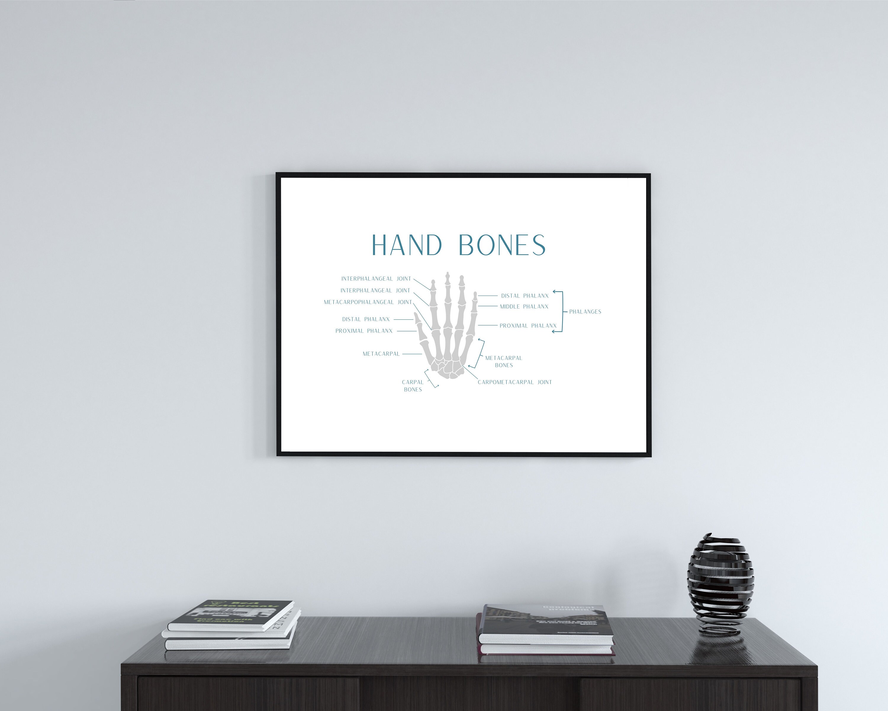 Anatomy Hand Poster, Bone Anatomy Decor, Orthopaedic Surgeon Office Art ...