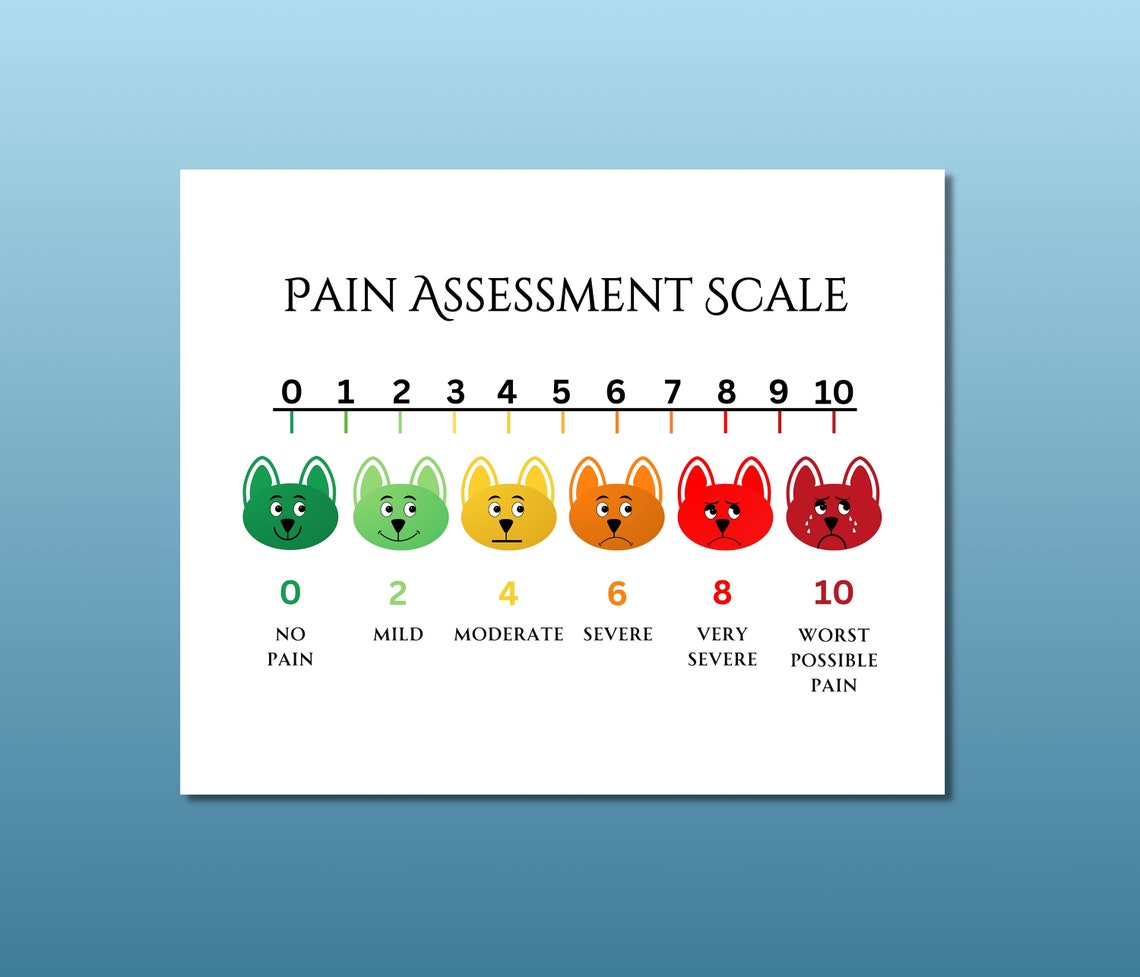 Cute Pediatric Pain Scale Poster for Kids, Pain Chart, Playroom Puppy ...