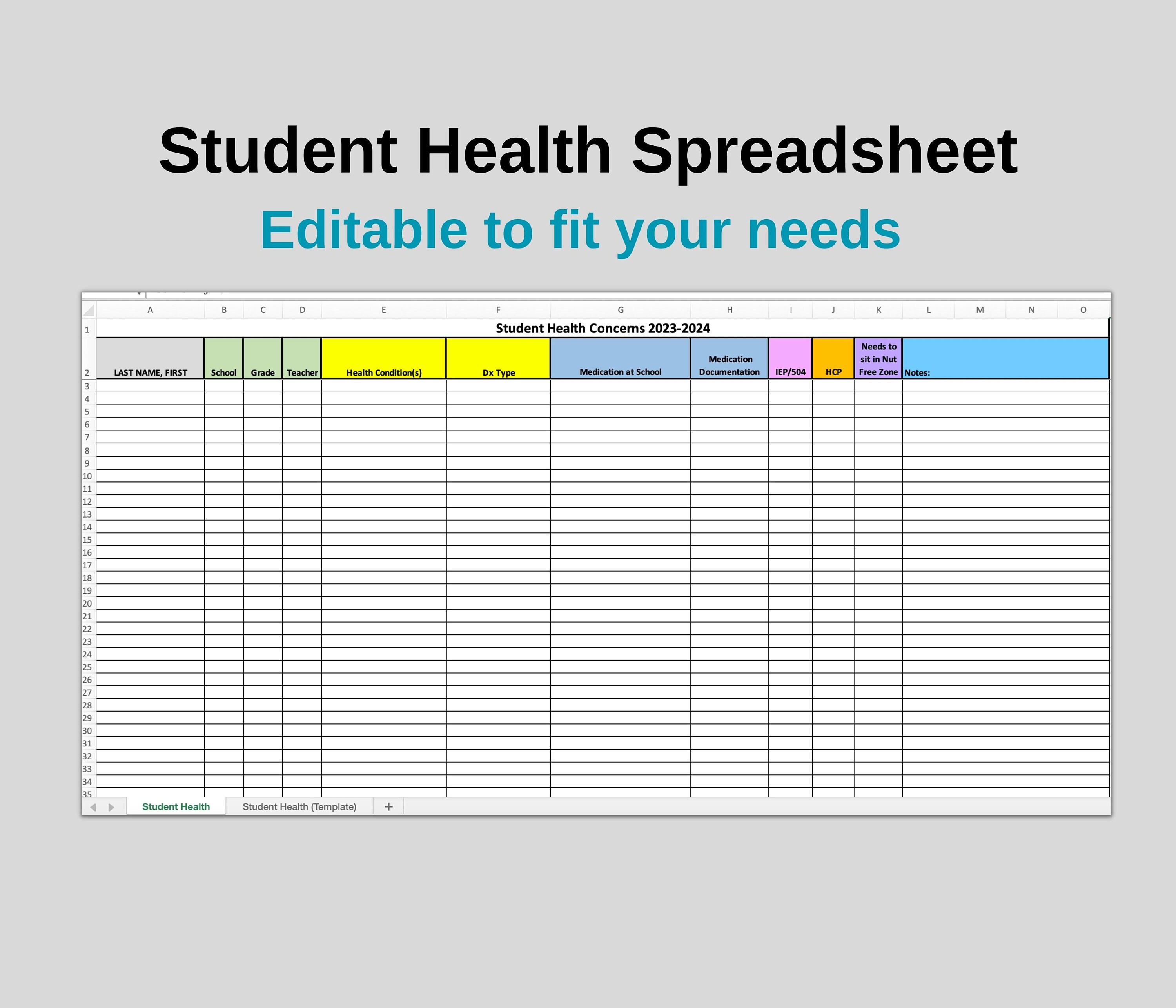 School Nurse Log Spreadsheet, Student Health Concerns Template, School ...