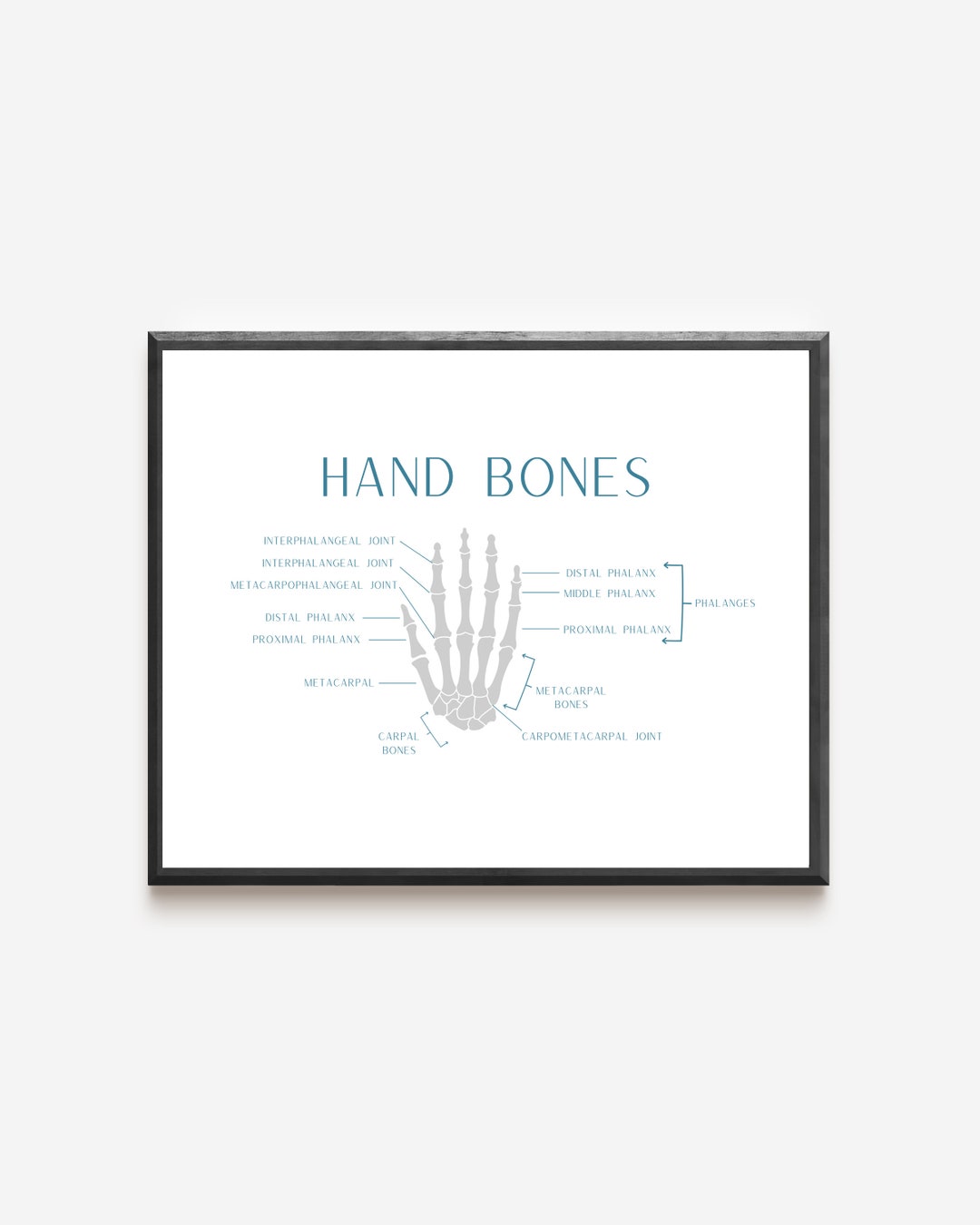 Anatomy Hand Poster Printable, Health Office Art, Anatomy Print, Health ...