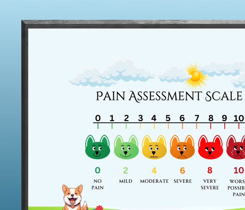 Pediatric Pain Scale Poster Puppy Meadow, Childrens Pain Chart ...