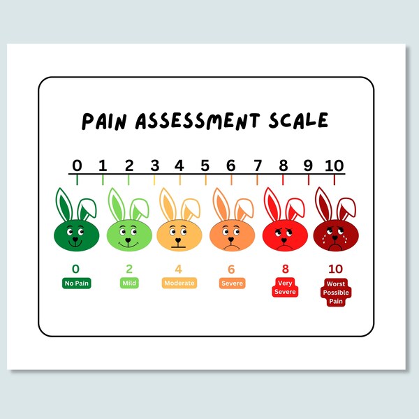 Bunny Pain Scale - Etsy