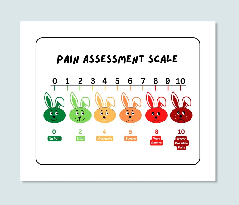 Cute Bunny Pain Scale Poster, Pain Assessment Scale, School Nurse Pain ...