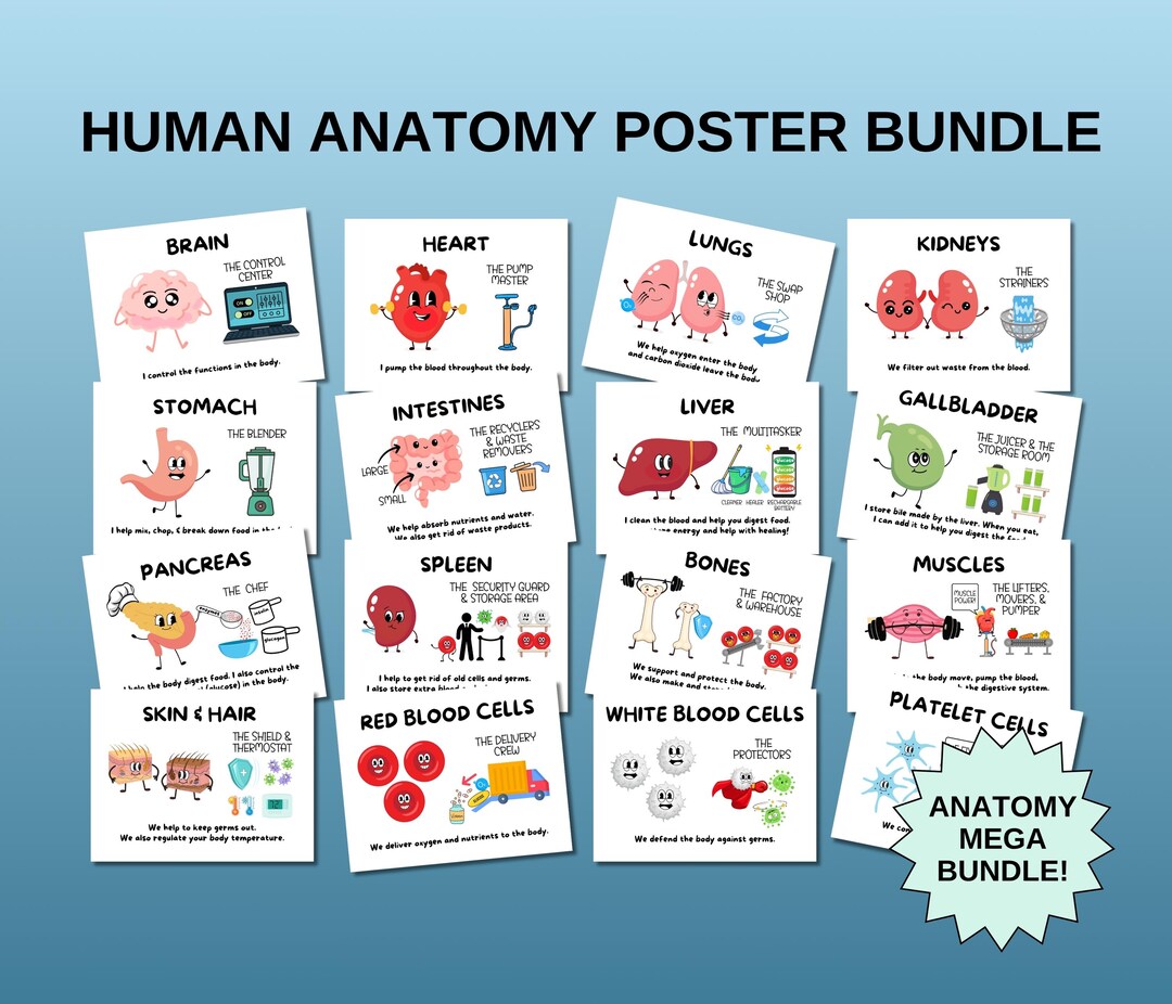 Human Anatomy Posters for Kids: Retro Body System Education (digital ...