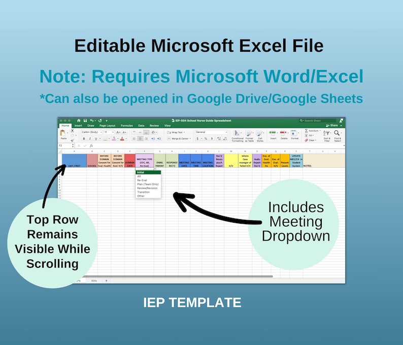 School Nurse Planner: IEP & 504 Tracking Spreadsheet (editable, Digital ...