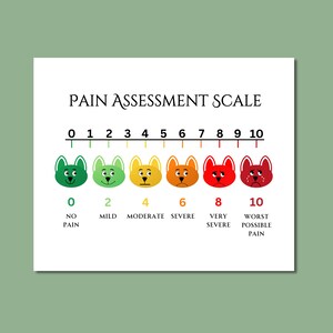 Cute Pediatric Pain Scale Poster for Kids, Pain Chart, Playroom Puppy ...