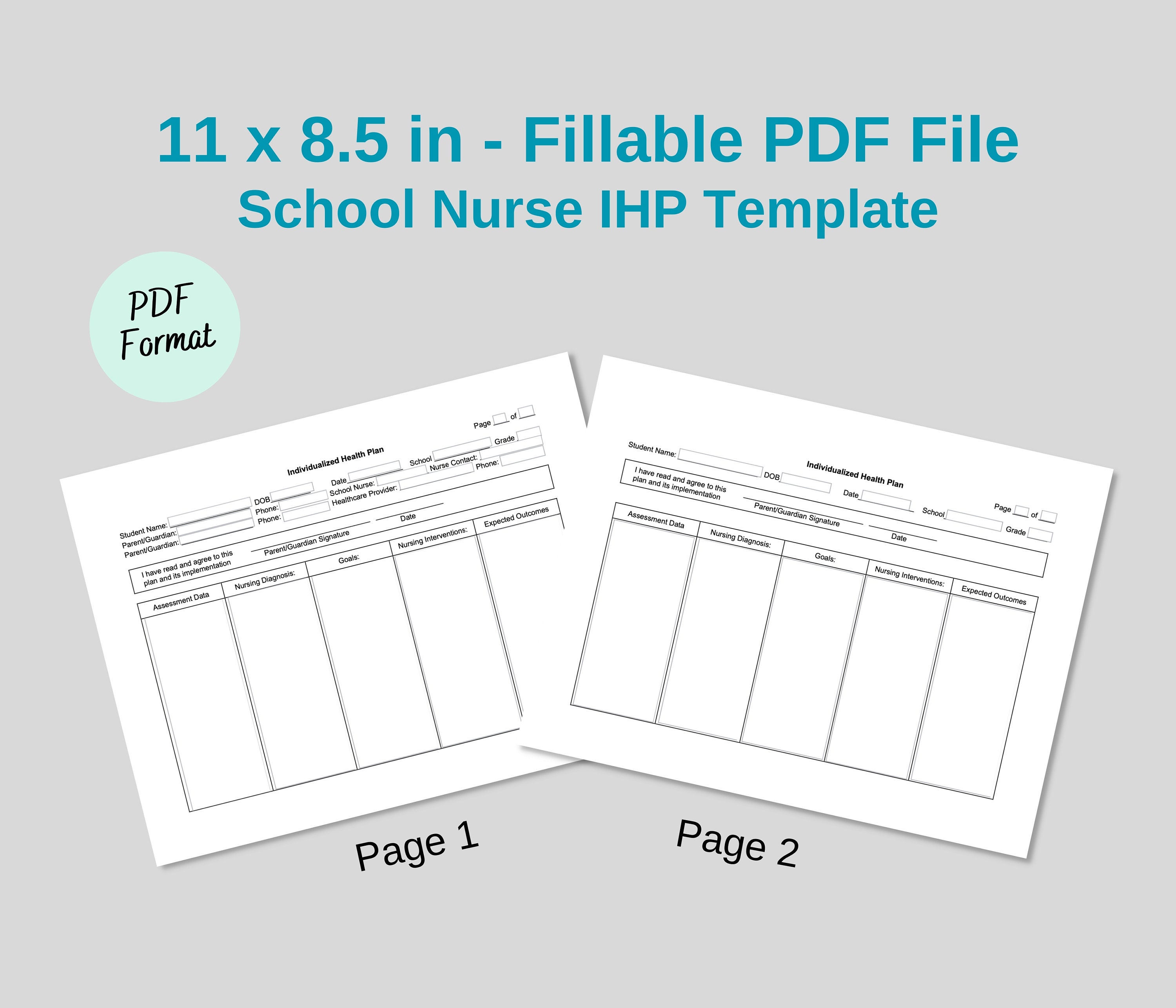 School Nurse Printable Health Template, Individualized Health Plan ...