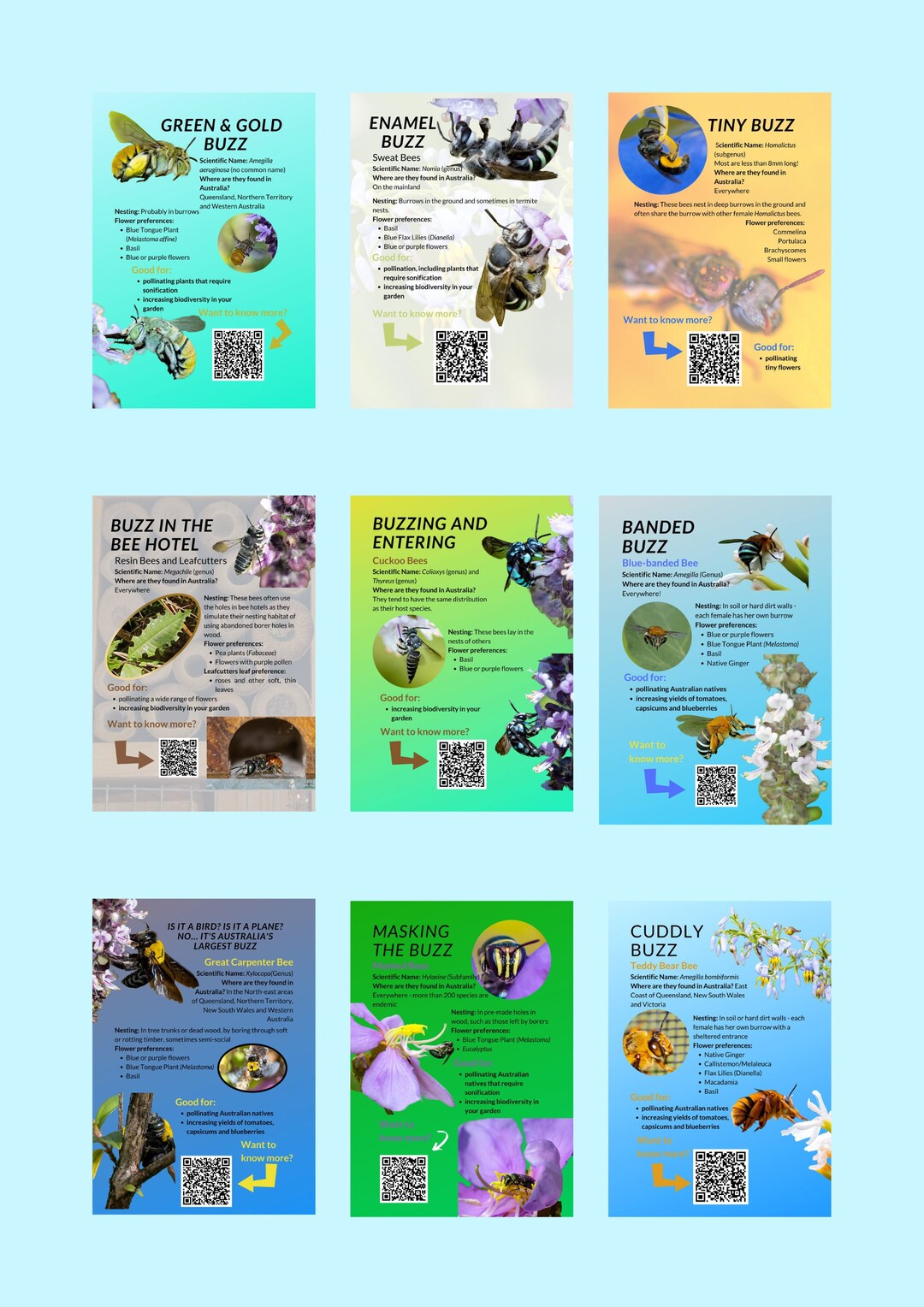 Native Bee Information Posters Education Australia - Etsy