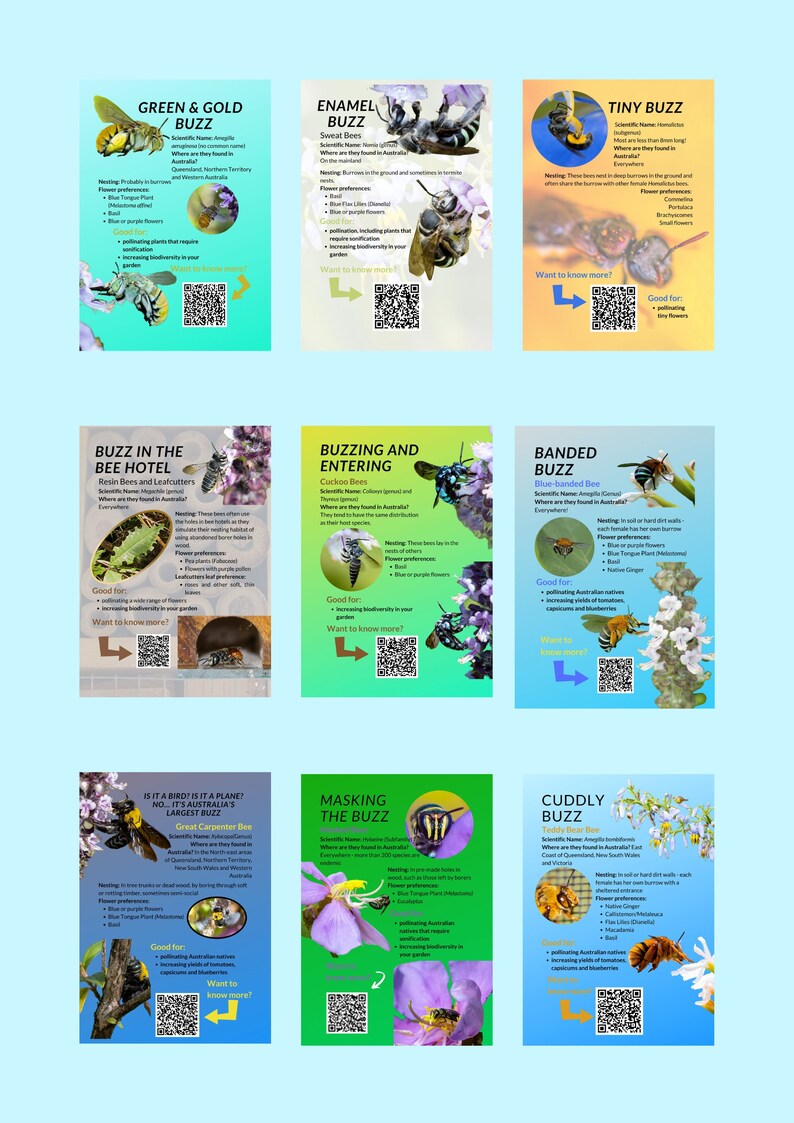 Native Bee Information Posters Education Australia - Etsy
