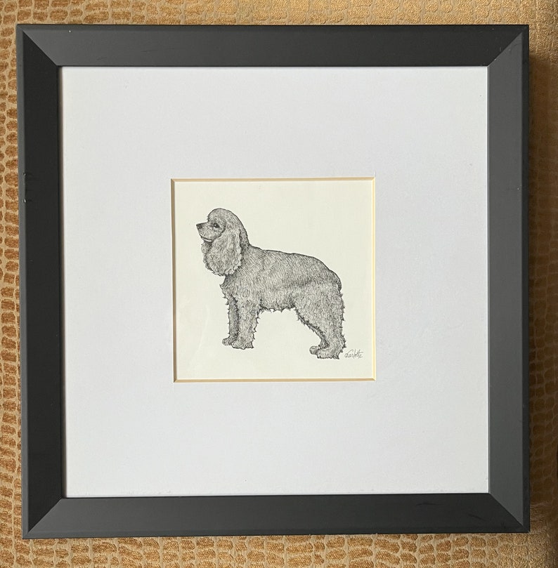 Cocker Spaniel Original Pen & Ink Drawing by Charlotte B. - Etsy