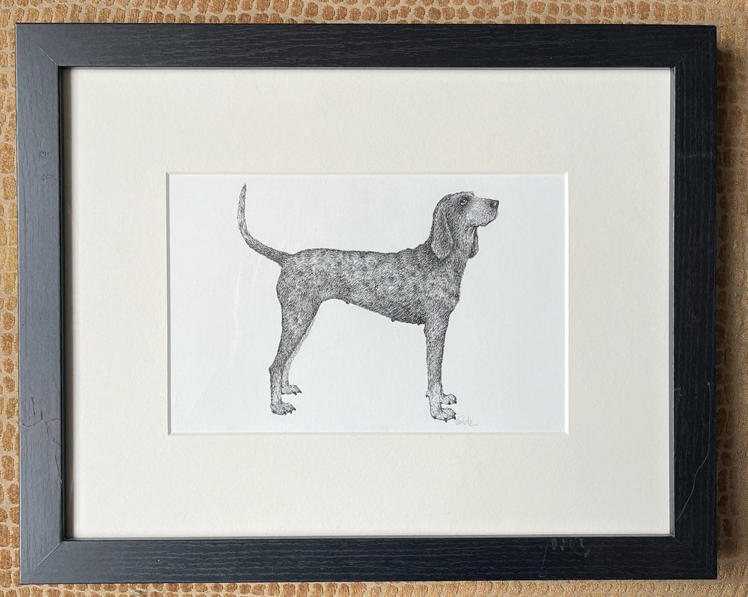 Talbot Coonhound, Original Pen & Ink Drawing From the Abds of Dogs by ...