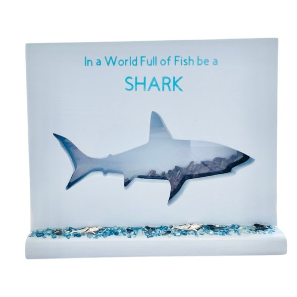 Shark Tooth Display - Etsy