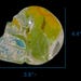 Xtra Large Epoxy Resin Skull - Etsy