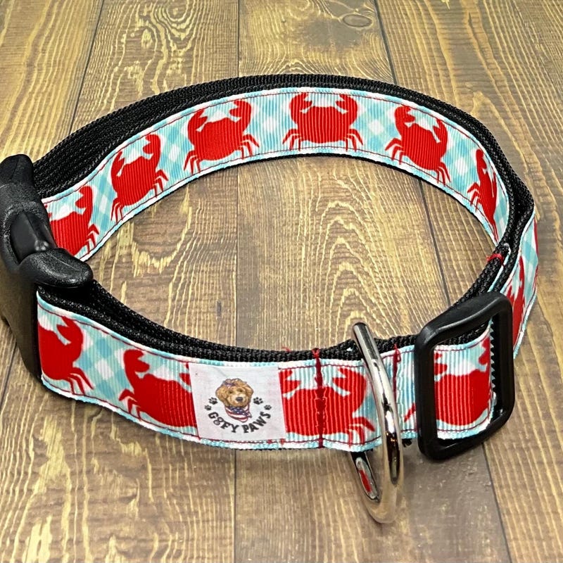 Fun Dog Collar - Etsy