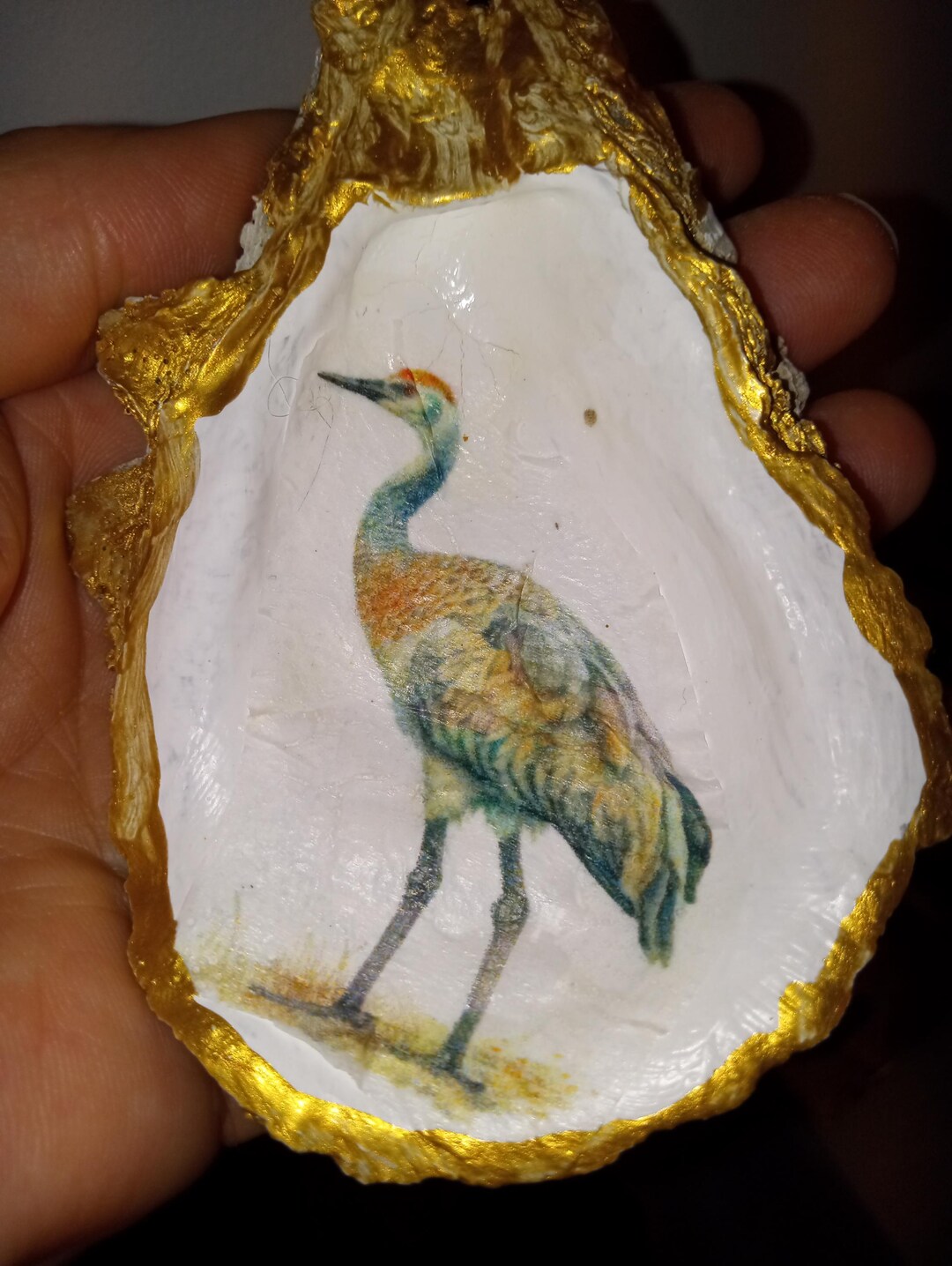 Sandhill Crane Oyster Shell - Etsy