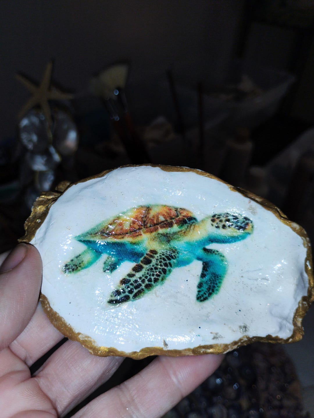 Turtle Oyster Shell - Etsy