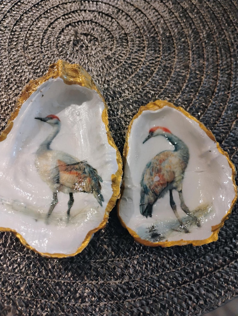 Sandhill Crane Oyster Shell - Etsy