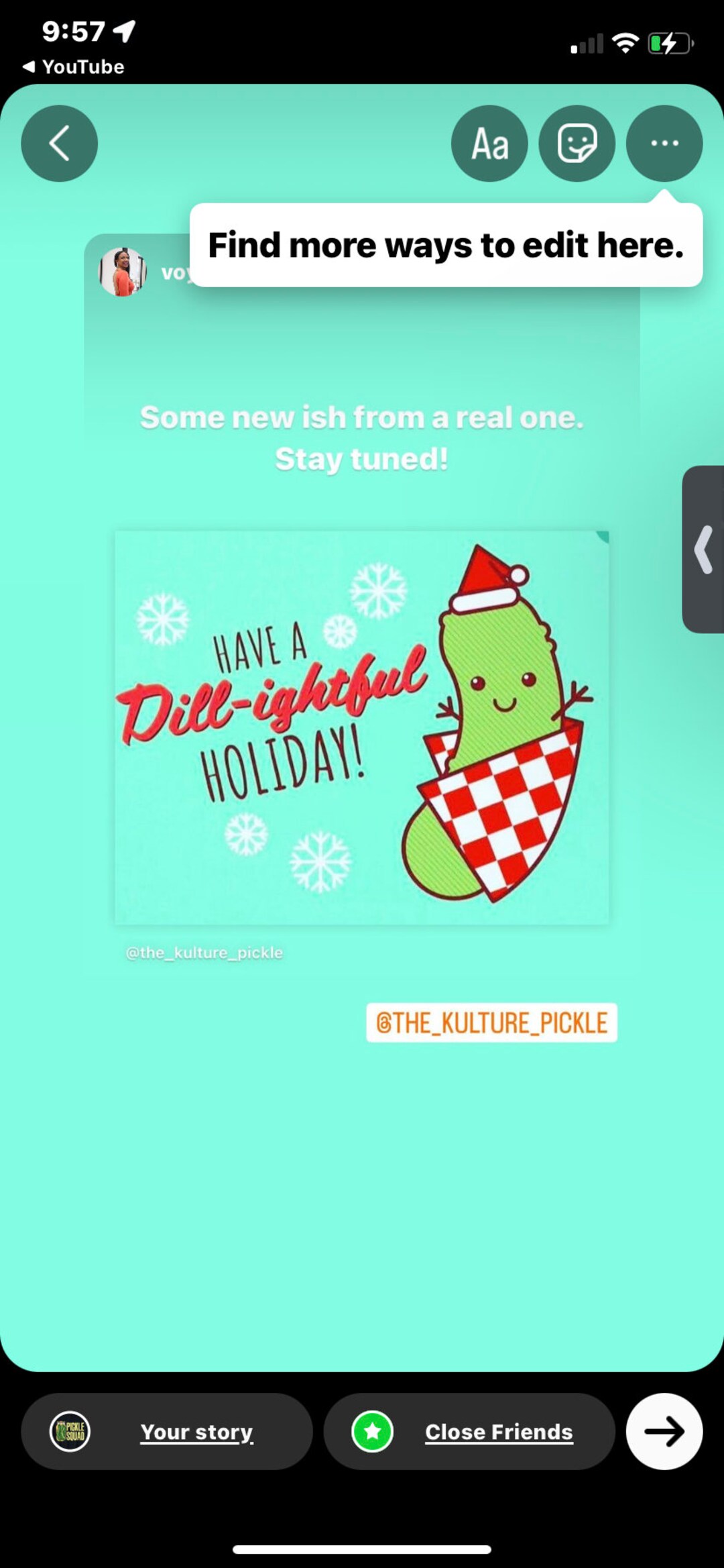 Kool Aid Kulture Pickle - Etsy