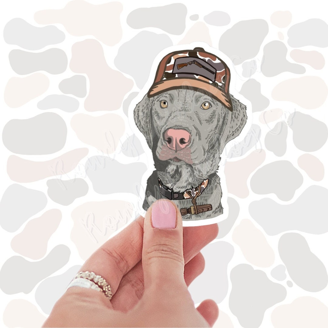 Duck Dog Sticker Labrador Sticker Tint Strip Stickers - Etsy