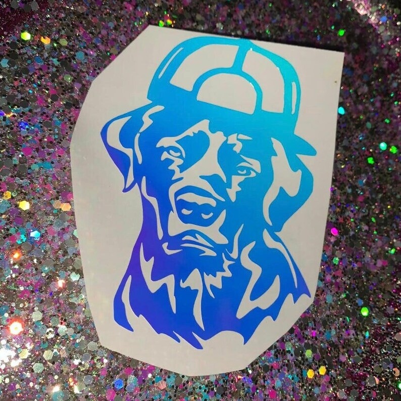 Backwards Hat Lab Premium Vinyl Decals Funny Decals - Etsy