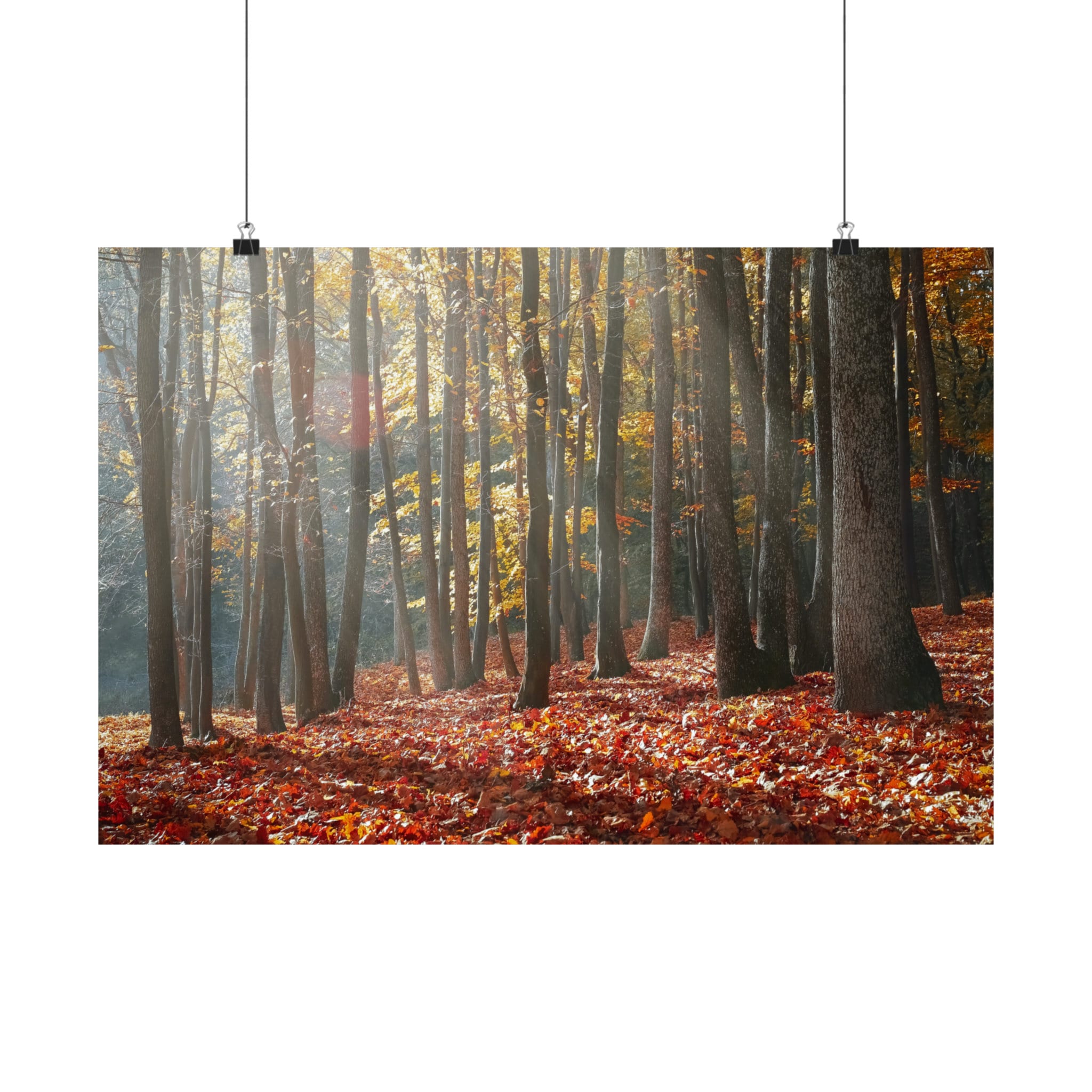 Wall Hanging Trees / Nature Poster Home Decorating Living Room Wall Art ...