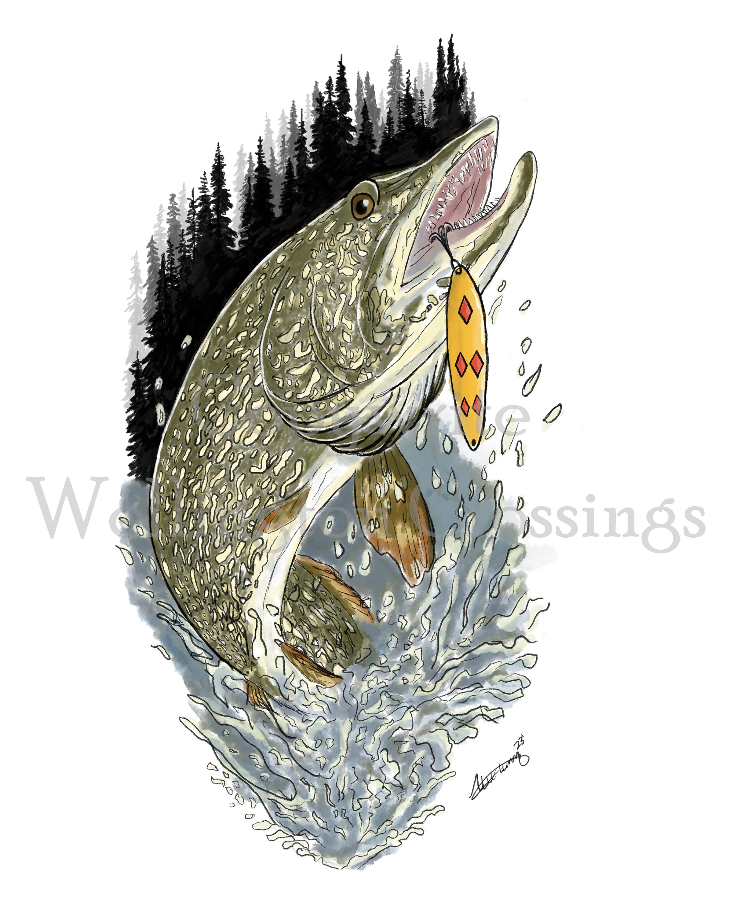 Northern Pike Drawing