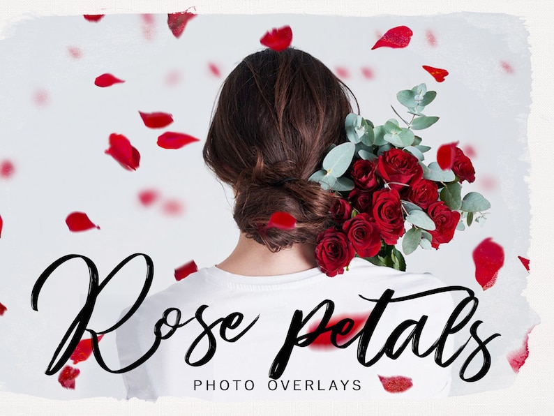Red Rose Petals PNG Photoshop Overlays - Etsy