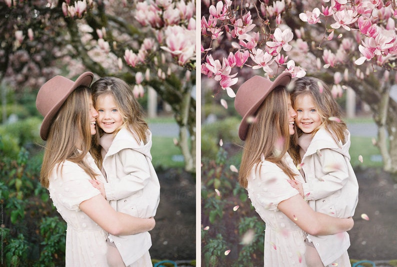 Magnolia PNG Photoshop Overlays - Etsy