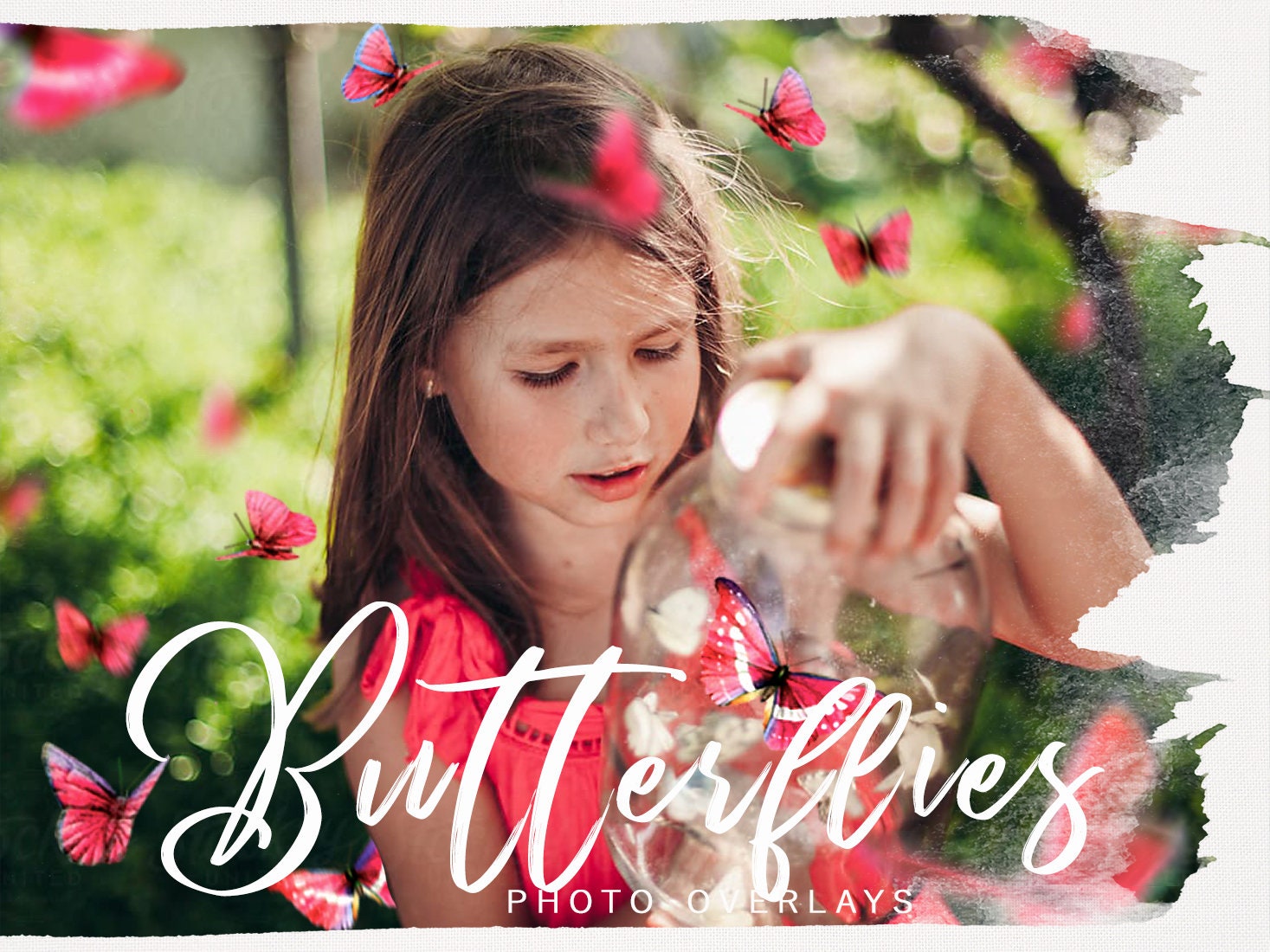 Butterfly PNG Photoshop Overlays - Etsy