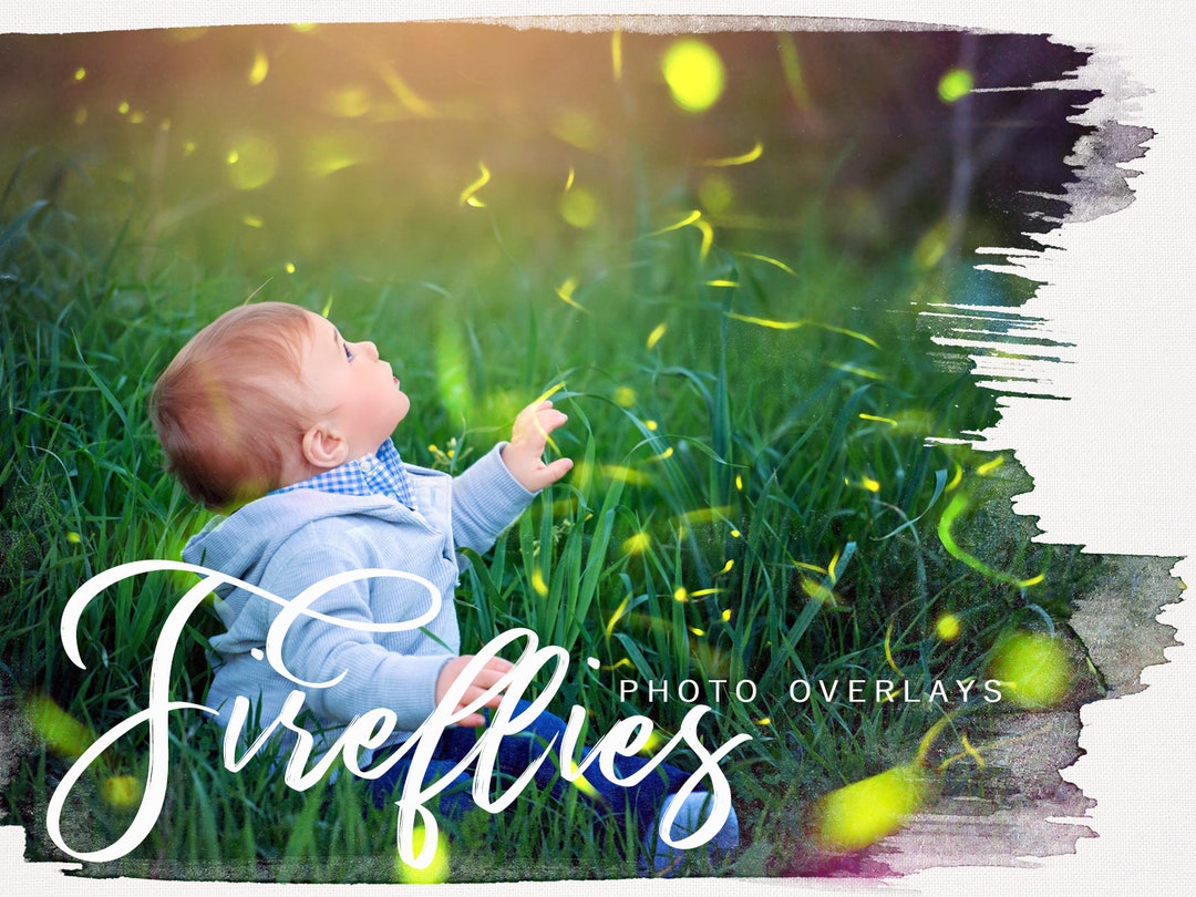 Realistic Fireflies JPG Photoshop Overlays - Etsy
