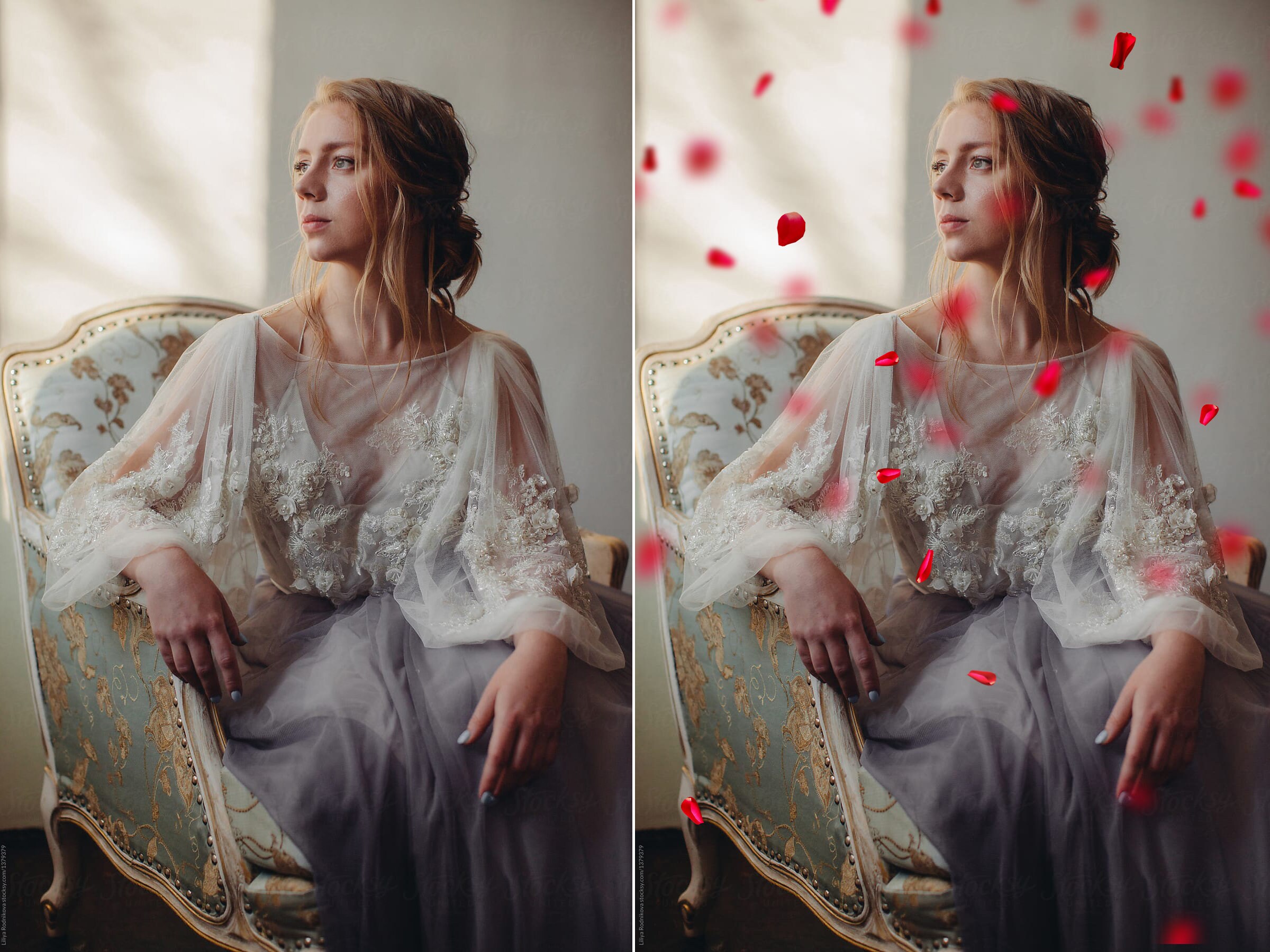 Red Rose Petals PNG Photoshop Overlays - Etsy
