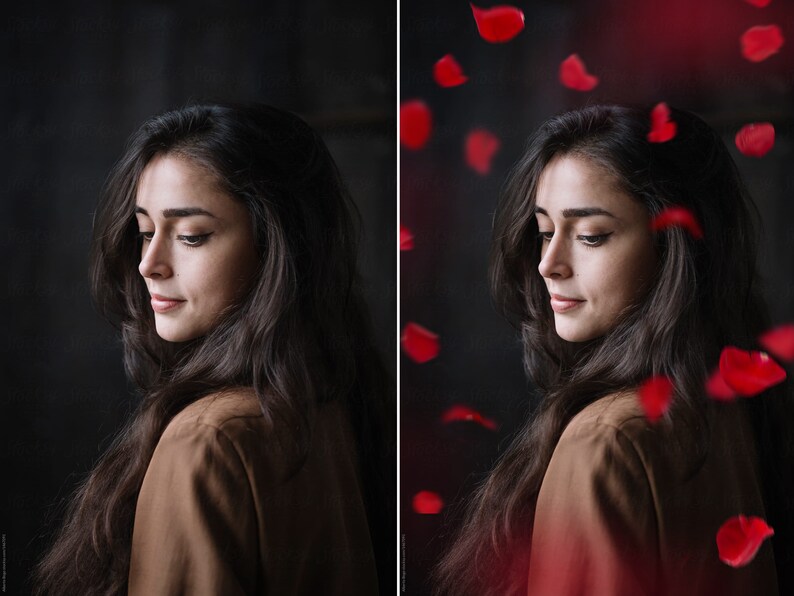 Red Rose Petals PNG Photoshop Overlays - Etsy