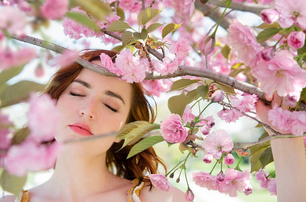 Cherry Blossom PNG Photoshop Overlays - Etsy