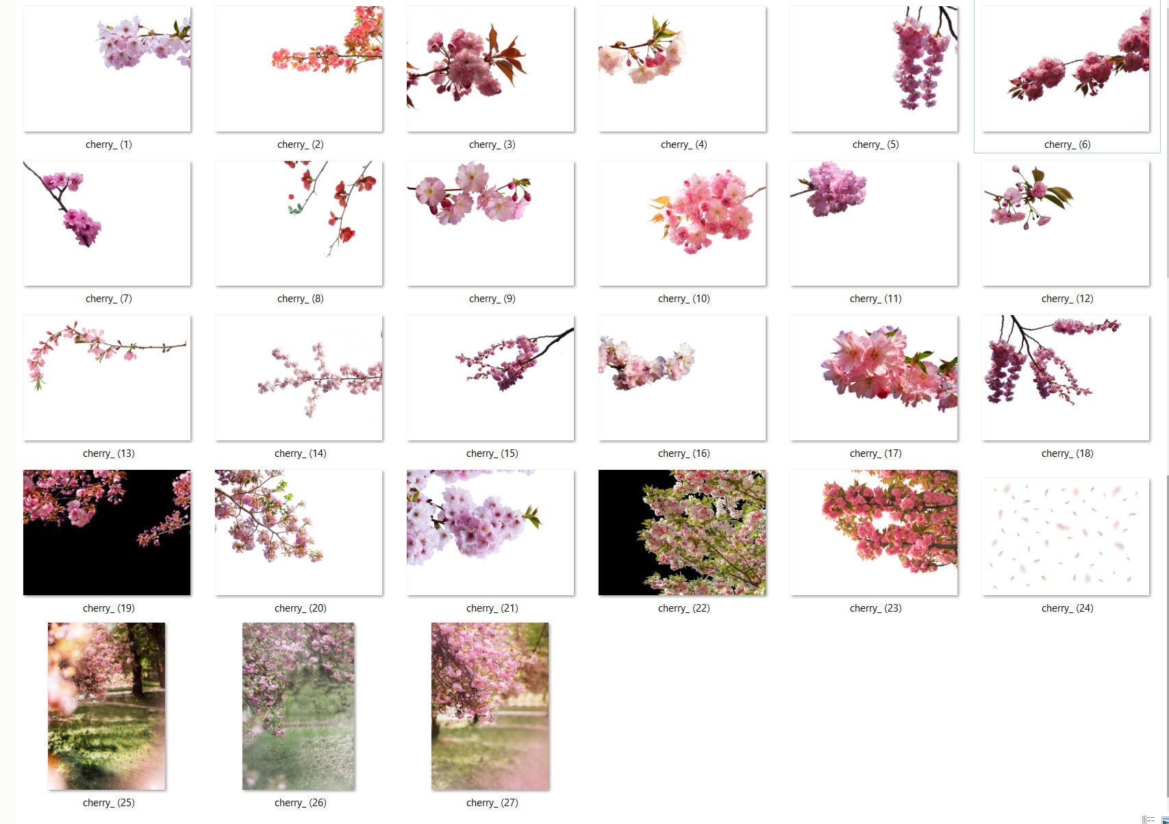 Cherry Blossom PNG Photoshop Overlays - Etsy