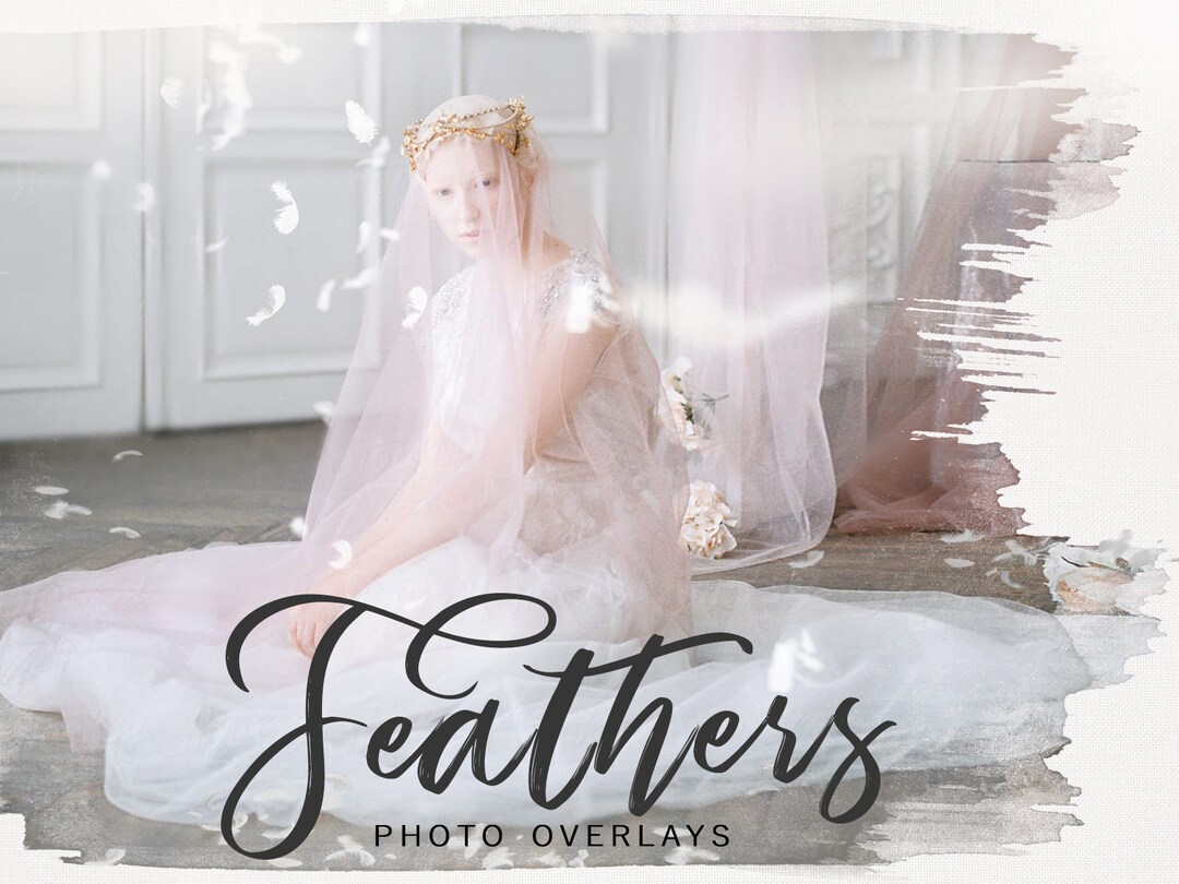Falling Feathers PNG Photoshop Overlays - Etsy