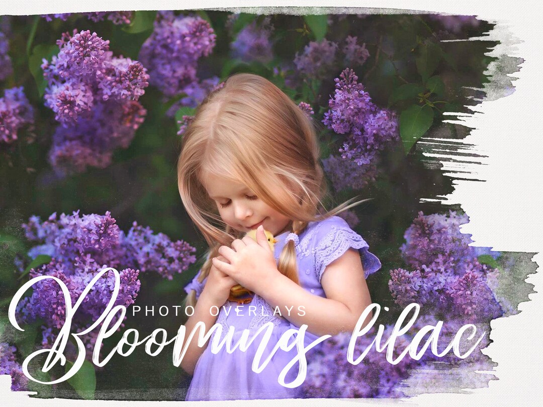 Spring Lilac PNG Photoshop Overlays - Etsy
